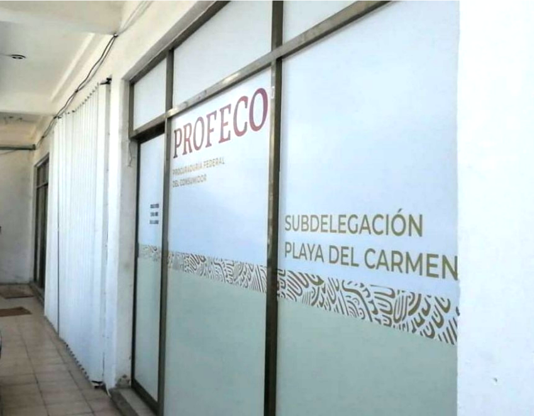 Lili Campos va por Profeco para Playa del Carmen – PlayaalDía